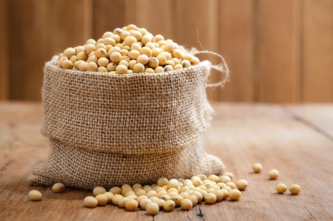 Grow For Me | Browse through our Farms